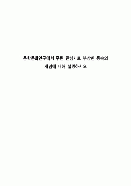 문학문화연구에서 주된 관심사로 부상한 풍속의 개념에 대해 설명하시오-1페이지