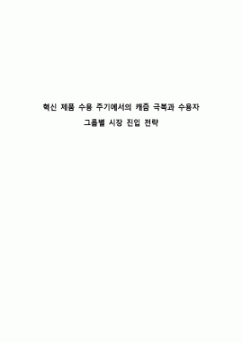 혁신 제품 수용 주기에서의 캐즘 극복과 수용자 그룹별 시장 진입 전략-1페이지