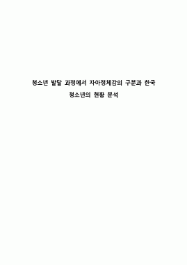 청소년 발달 과정에서 자아정체감의 구분과 한국 청소년의 현황 분석-1페이지