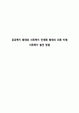공공복지 확대와 사회복지 민영화 확대의 조화 미래 사회복지 발전 방향-1페이지