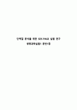 단백질 분석을 위한 SDS PAGE 실험 연구 생명과학실험1 분반1등-1페이지