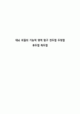 대뇌 피질의 기능적 영역 탐구 전두엽 두정엽 후두엽 측두엽-1페이지