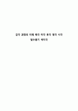 감각 과정의 이해 촉각 미각 후각 청각 시각 빛수용기 색지각-1페이지