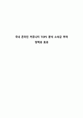 국내 온라인 커뮤니티 TOP5 분석 소속감 부여 정책과 효과-1페이지