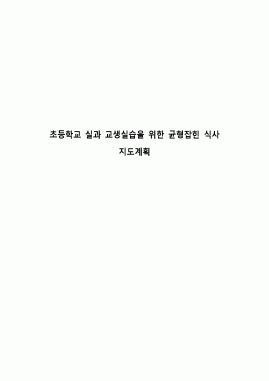 초등학교 실과 교생실습을 위한 균형잡힌 식사 지도계획-1페이지