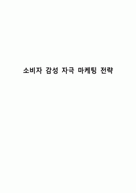 소비자 감성 자극 마케팅 전략-1페이지