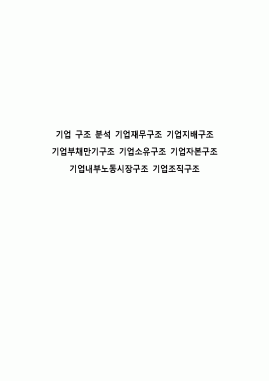 기업 구조 분석 기업재무구조 기업지배구조 기업부채만기구조 기업소유구조 기업자본구조 기업내부노동시장구조 기업조직구조-1페이지