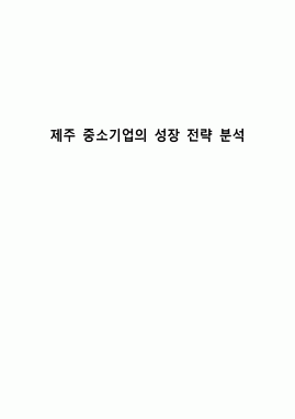 제주 중소기업의 성장 전략 분석-1페이지