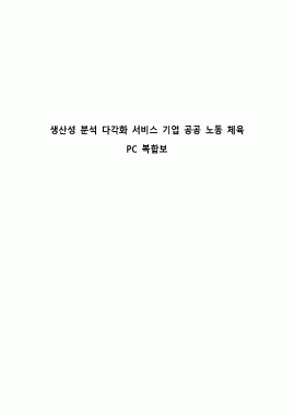 생산성 분석 다각화 서비스 기업 공공 노동 체육 PC 복합보-1페이지