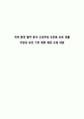 국제 환경 협약 분석 산성우와 오존층 보호 생물 다양성 보전 기후 변화 해양 오염 대응-1페이지