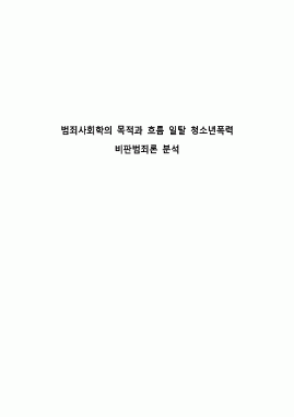 범죄사회학의 목적과 흐름 일탈 청소년폭력 비판범죄론 분석-1페이지