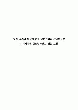 법적 규제의 다각적 분석 언론기업과 사이버공간 지적재산권 엄브렐라펀드 정당 도청-1페이지
