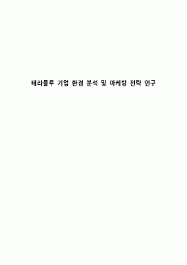 테라플루 기업 환경 분석 및 마케팅 전략 연구-1페이지