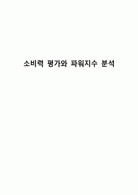 소비력 평가와 파워지수 분석-1페이지