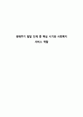 생애주기 발달 단계 중 핵심 시기와 사회복지 서비스 역할-1페이지