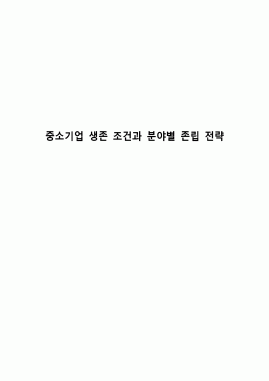 중소기업 생존 조건과 분야별 존립 전략-1페이지