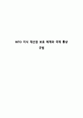 WTO 지식 재산권 보호 체계와 국제 통상 규범-1페이지