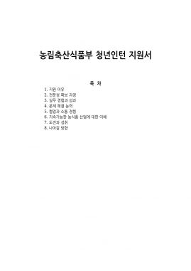 농림축산식품부 청년인턴 지원서-1페이지
