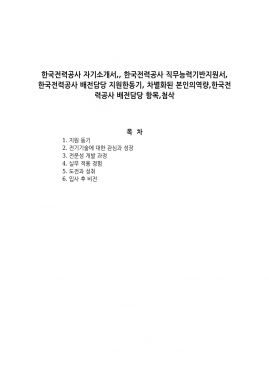한국전력공사 자기소개서,, 한국전력공사 직무능력기반지원서, 한국전력공사 배전담당 지원한동기, 차별화된 본인의역량,한국전력공사 배전담당 항목,첨삭-1페이지