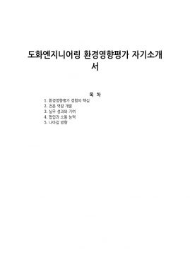 도화엔지니어링 환경영향평가 자기소개서-1페이지