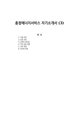 충청에너지서비스 자기소개서 (3)-1페이지