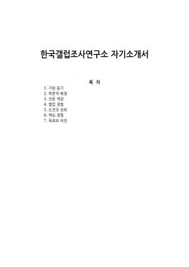 한국갤럽조사연구소 자기소개서-1페이지