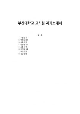 부산대학교 교직원 자기소개서-1페이지