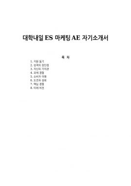 대학내일ES 마케팅AE 자기소개서-1페이지