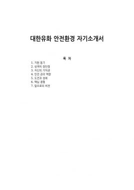 대한유화 안전환경 자기소개서-1페이지