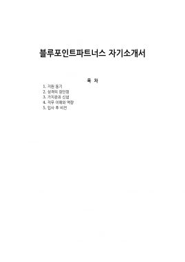 블루포인트파트너스 자기소개서-1페이지