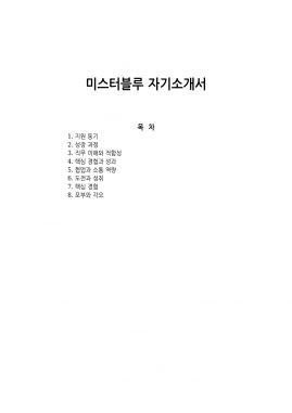 미스터블루 자기소개서-1페이지