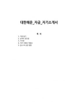 대한해운_자금_자기소개서-1페이지