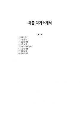 해줌 자기소개서-1페이지