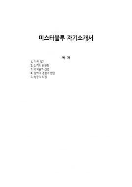 미스터블루 자기소개서-1페이지