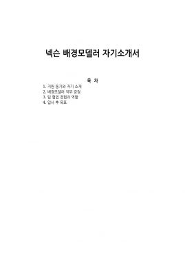넥슨 배경모델러 자기소개서-1페이지