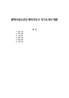 평택시청소년단 배치지도사 자기소개서 예문-1페이지