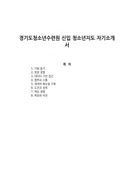 경기도청소년수련원 신입 청소년지도 자기소개서-1페이지