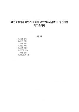 대한적십자사 하반기 코이카 영프로페셔널(YP) 청년인턴 자기소개서-1페이지