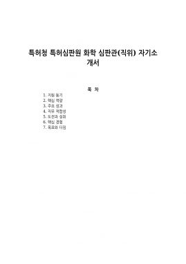 특허청 특허심판원 화학 심판관(직위) 자기소개서-1페이지