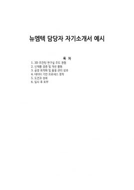 뉴엠텍 담당자 자기소개서 예시-1페이지