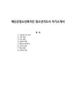 예산군청소년복지단 청소년지도사 자기소개서-1페이지