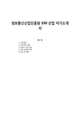정보통신산업진흥원 SW산업 자기소개서-1페이지