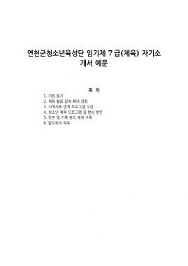 연천군청소년육성단 임기제 7급(체육) 자기소개서 예문-1페이지