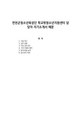 연천군청소년육성단 학교밖청소년지원센터 담당자 자기소개서 예문-1페이지