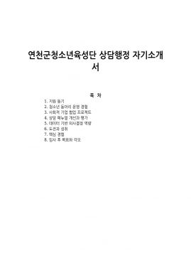 연천군청소년육성단 상담행정 자기소개서-1페이지