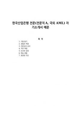 한국산업은행 전문(전문직A, 국외 AML) 자기소개서 예문-1페이지