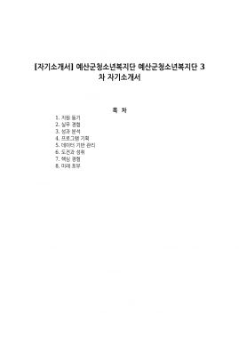 [자기소개서] 예산군청소년복지단 예산군청소년복지단 3차 자기소개서-1페이지