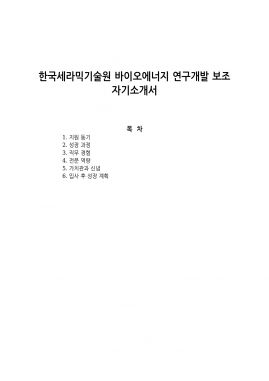 한국세라믹기술원 바이오에너지 연구개발 보조 자기소개서-1페이지