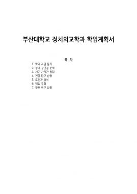 부산대학교 정치외교학과 학업계획서-1페이지