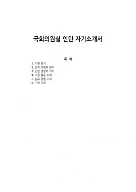 국회의원실 인턴 자기소개서-1페이지
